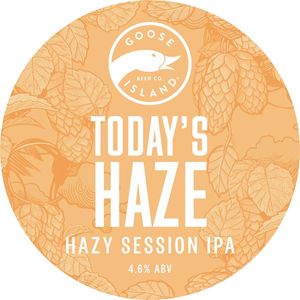Goose Island Today's Haze, Keg, 30 lt x 1